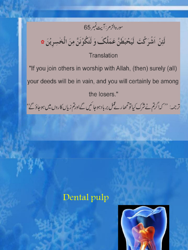 Anatomy of Dental Pulp Structures | PDF | Dental Anatomy | Human Tooth