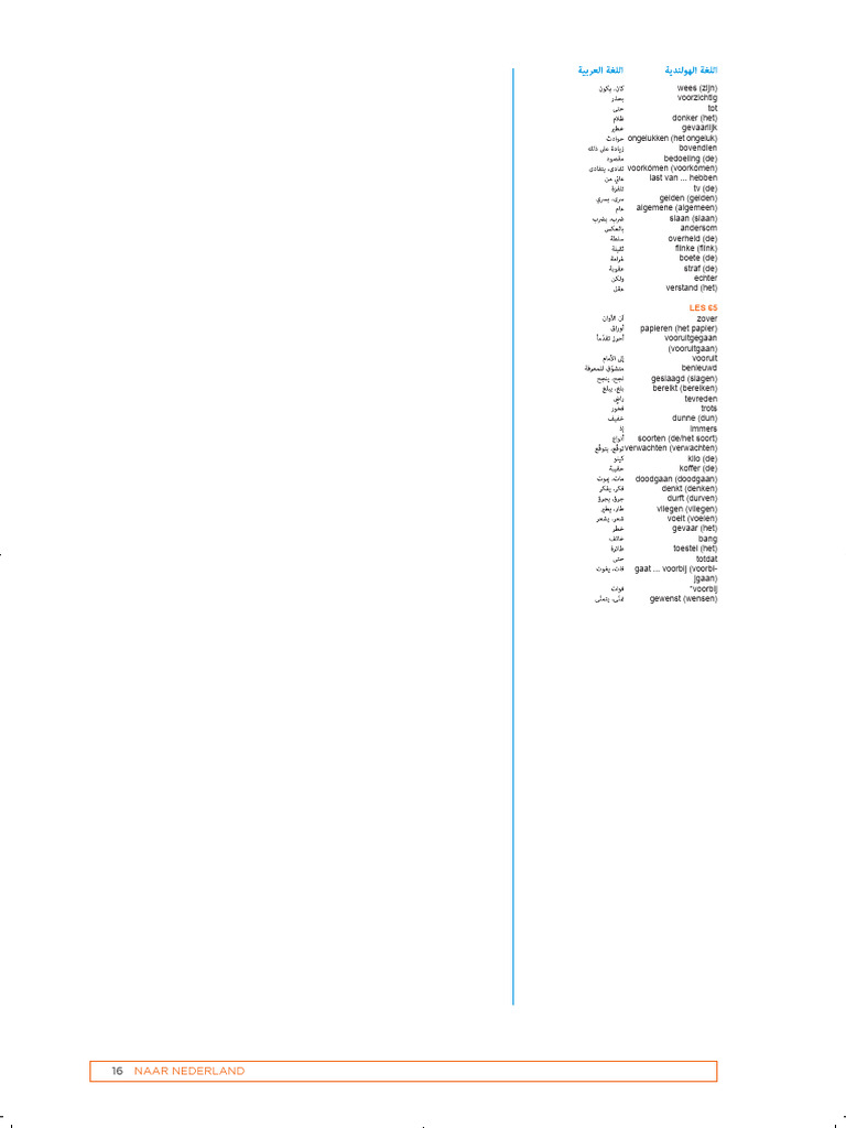NN Handleiding Standaard Arabisch - Organized | PDF