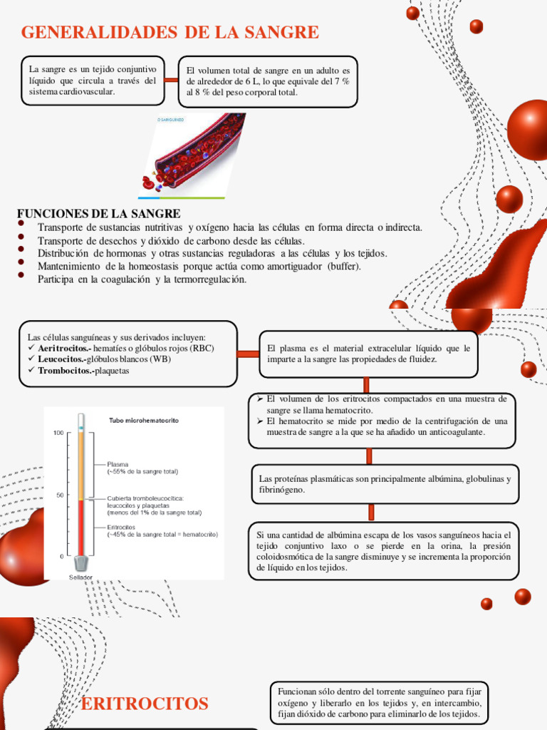 TEJIDO SANGUÍNEO | PDF | Sangre | Leucocito