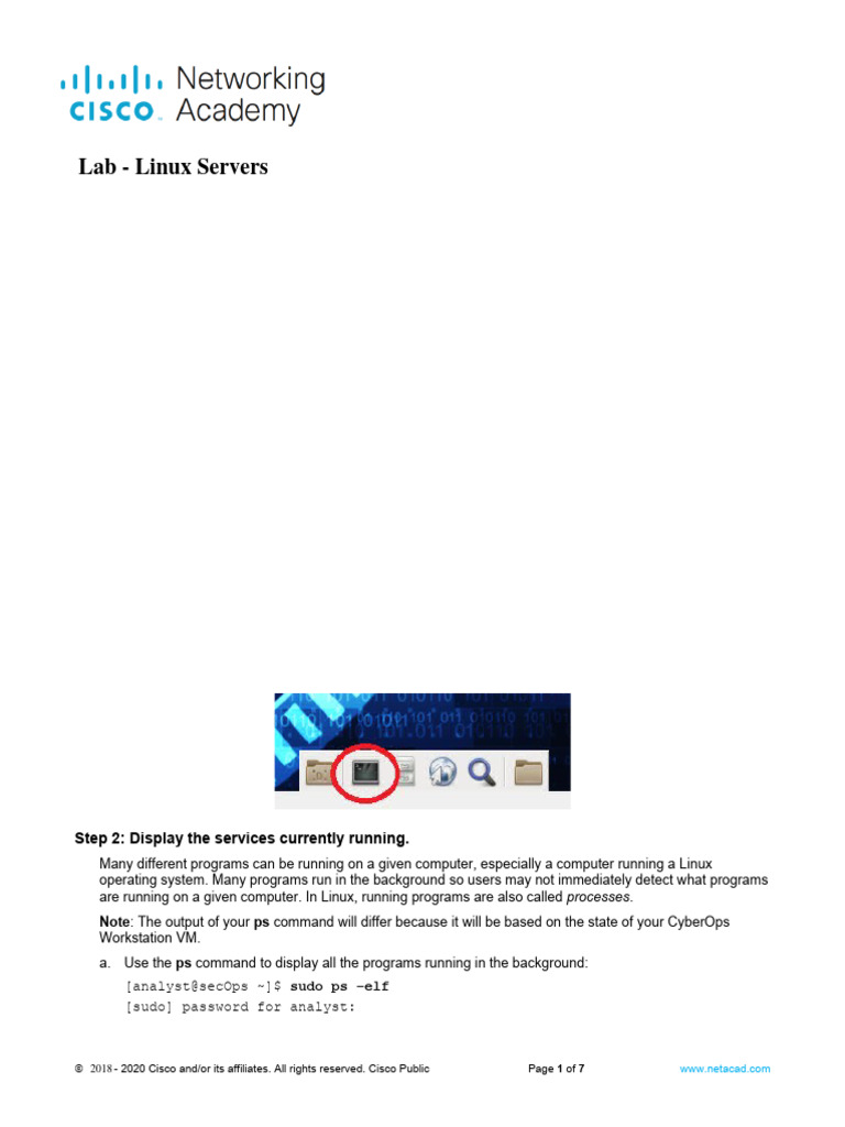 4.3.4 Lab - Linux Servers - ILM | PDF | Port (Computer Networking) | Internet Protocol Suite