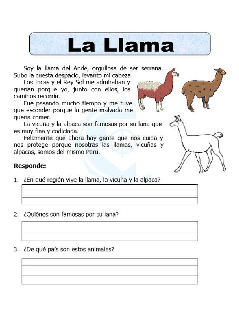 CM Llama | PDF