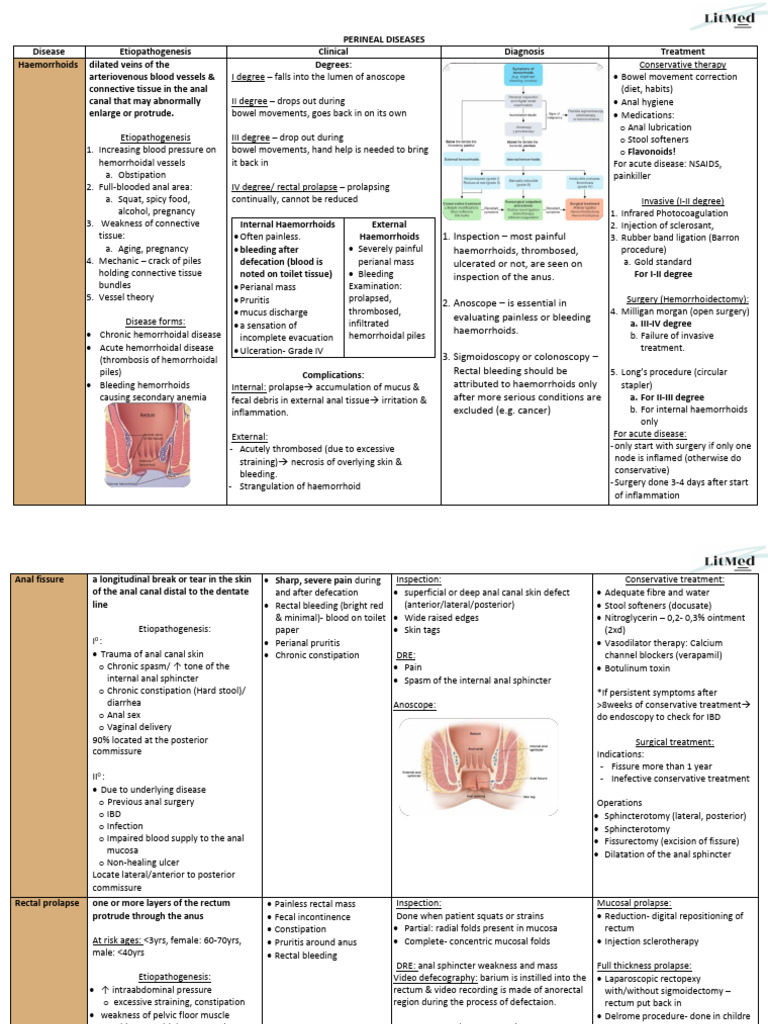 Perineal Diseases | Download Free PDF | Hemorrhoid | Rectum