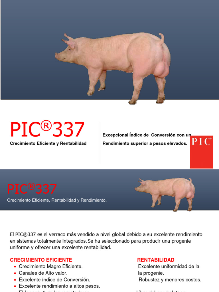 Cartilla Pic 337 | PDF