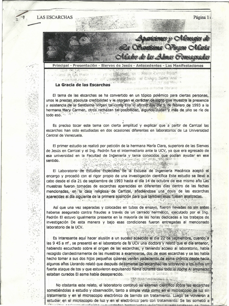 Escarchas de la Virgen Rosa Mística | PDF | Compuestos químicos | Química