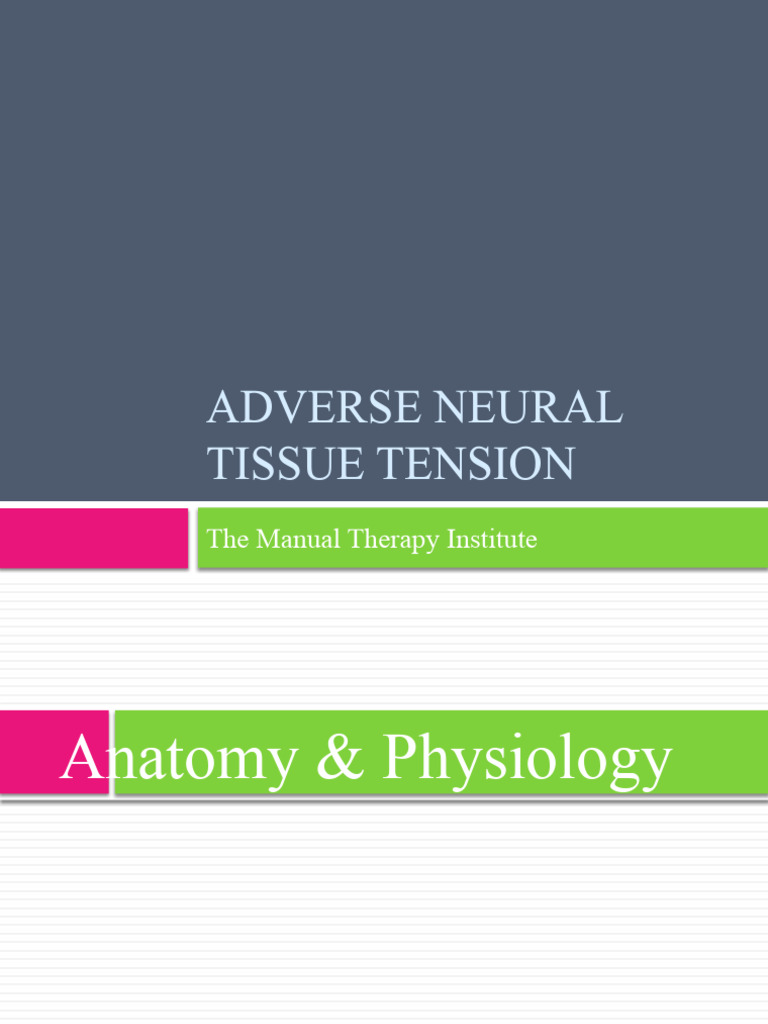 Understanding Adverse Neural Tissue Tension | PDF | Neuron | Pelvis