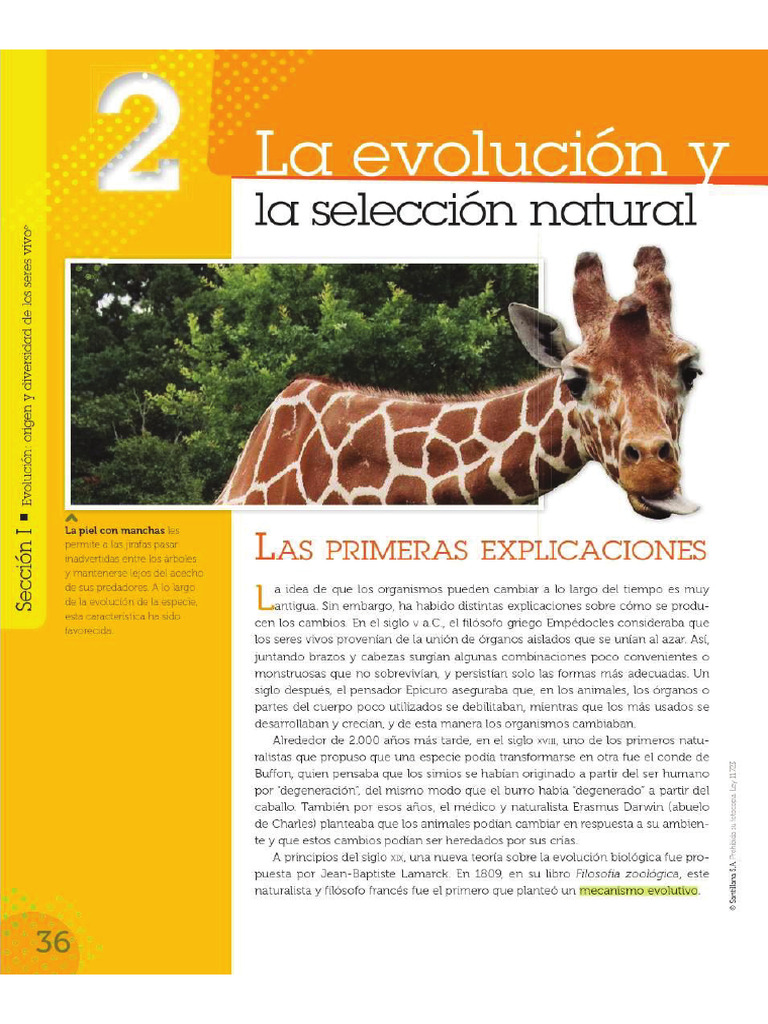 TP 2 - LA EVOLUCION Y LA SELECCION NATURAL | PDF
