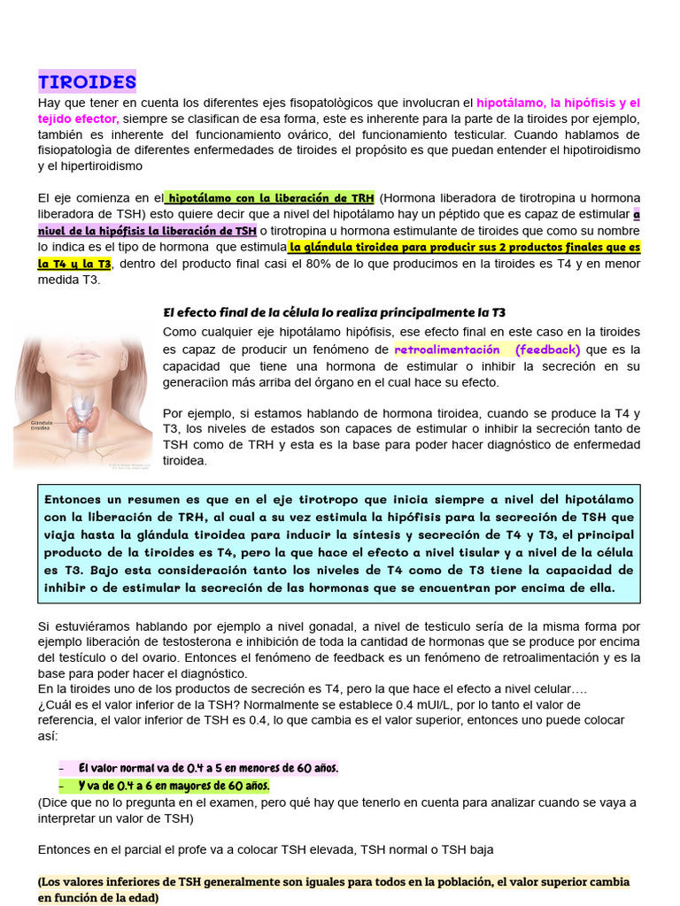 Tiroides | PDF | Hormona estimulante de la tiroides | Tiroides
