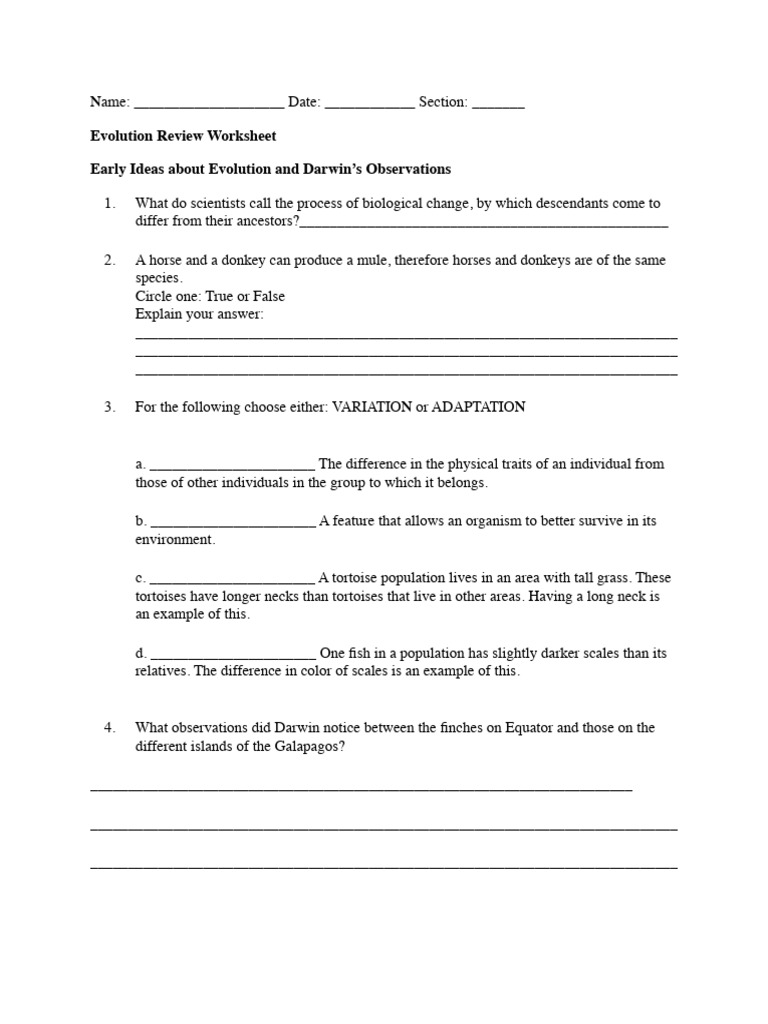 Evolution Review Worksheet | PDF | Evolution | Natural Selection