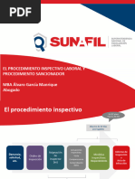 Flujograma Del Procedimiento de Inspección PDF | PDF