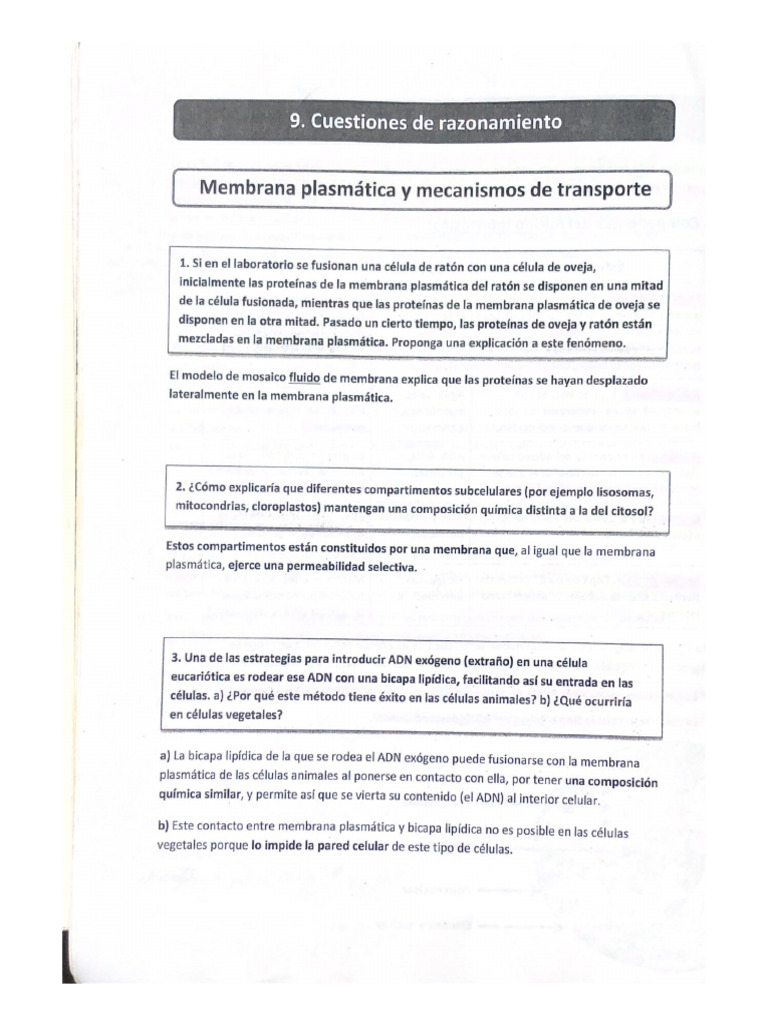 Bloque Célula 1 | PDF