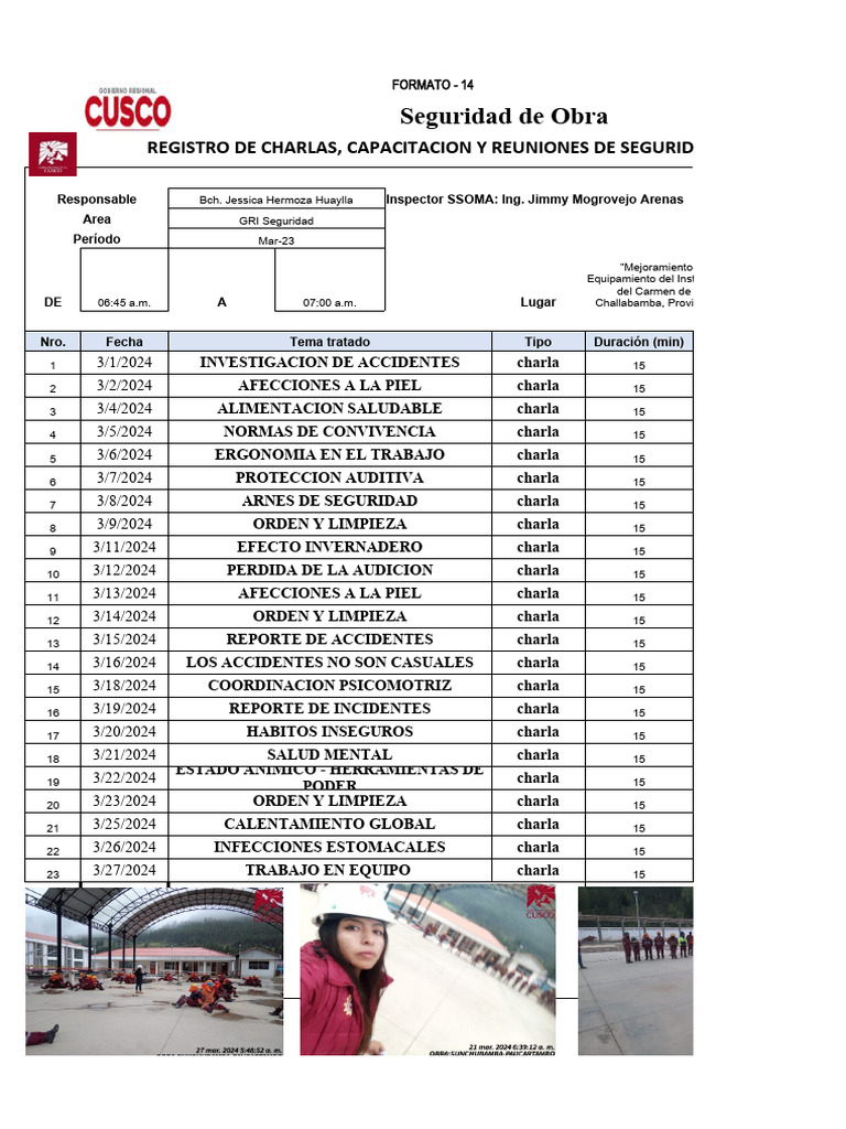 Modelo Formato 14 Marzo | PDF