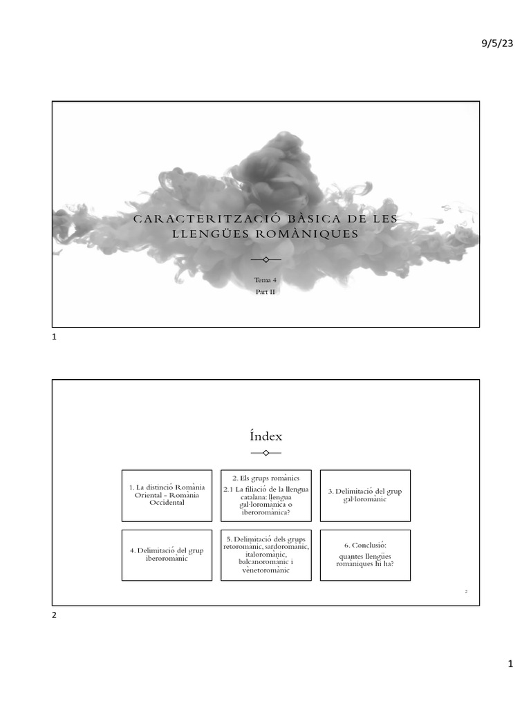 Tema 4 Característiques Part III | PDF