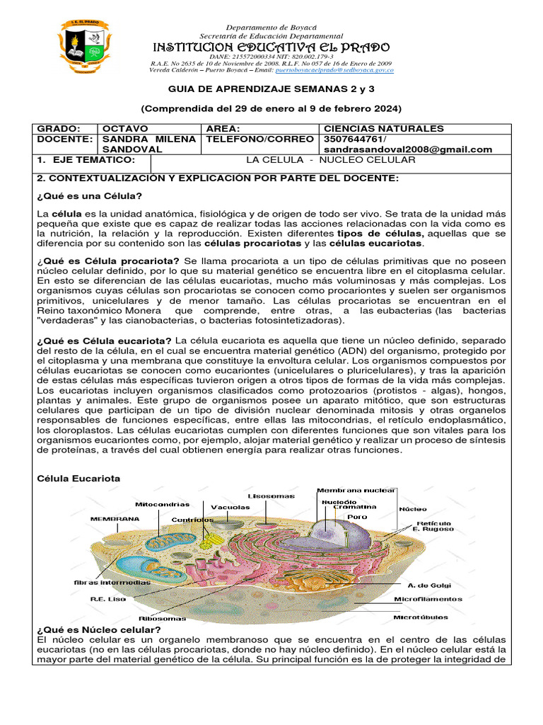 Células: Procariotas y Eucariotas | PDF | Nucleo celular | Biología ...