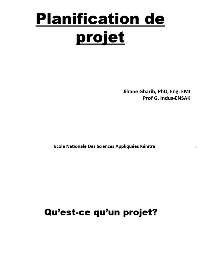 Planification de projet | PDF | Gestion de projet | Théorie des systèmes