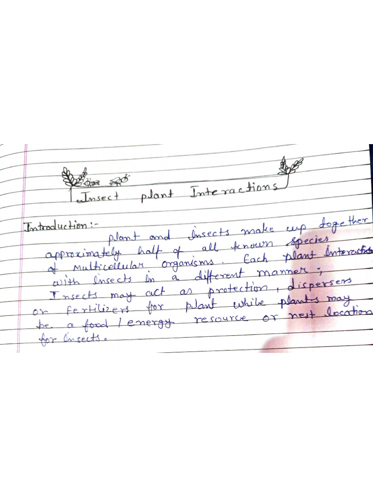Insect Plant Interaction | PDF
