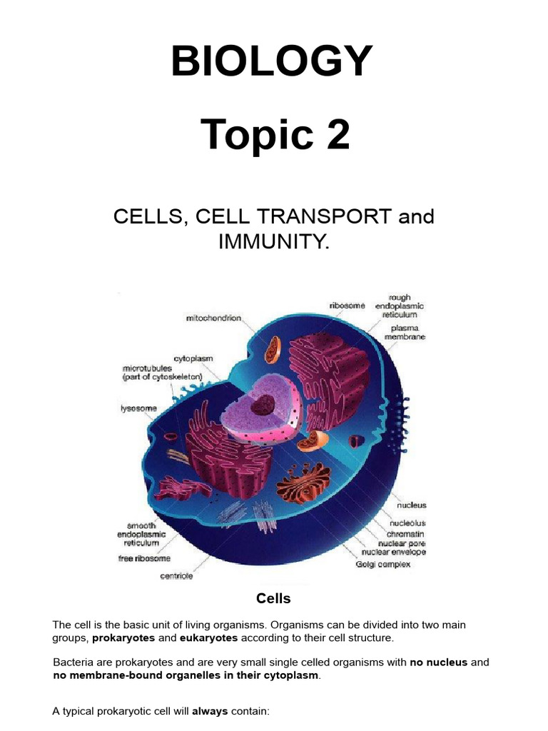 Topic 2 Notes Pdf Mitosis Cell Membrane 