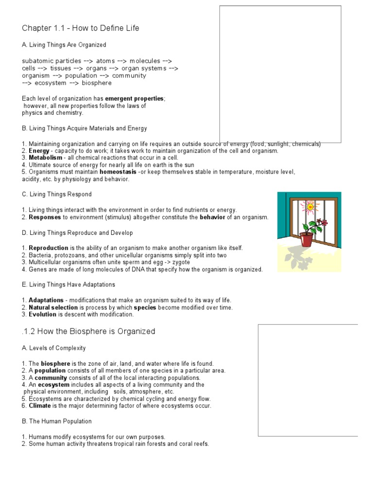 Notes Ch1 Life | PDF | Organisms | Archaea