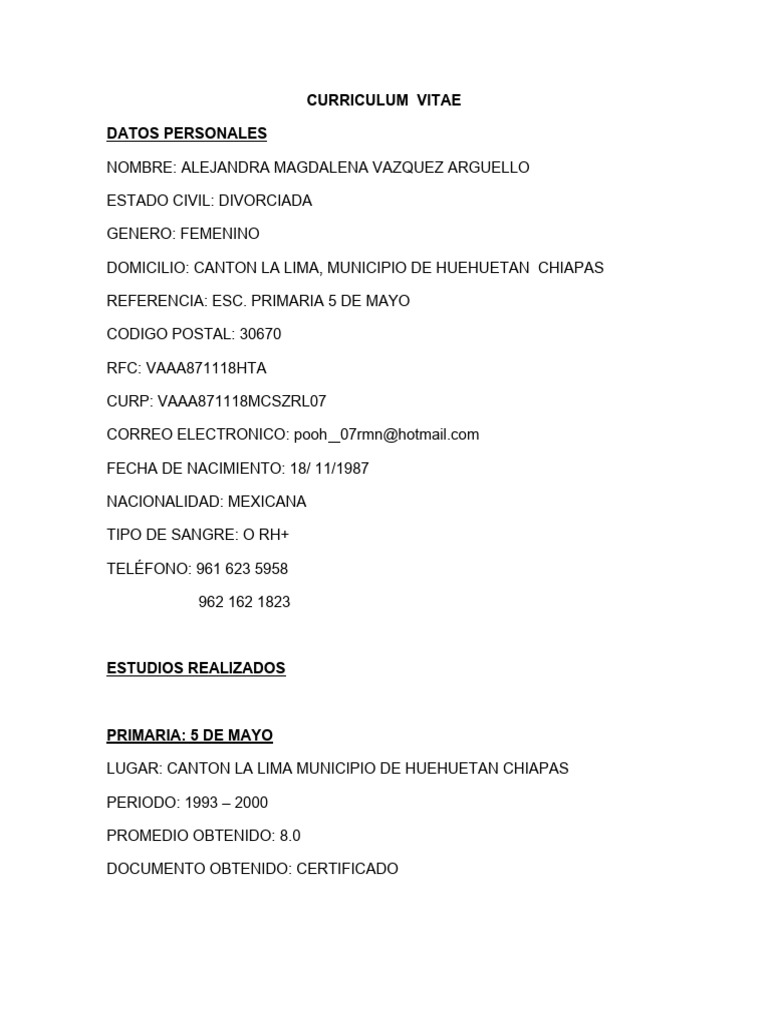 Curriculum Vitae Ale 2023 | PDF