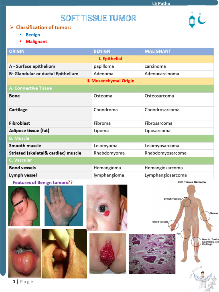 Soft Tissue Tumor- | PDF | Muscle | Tissue (Biology)