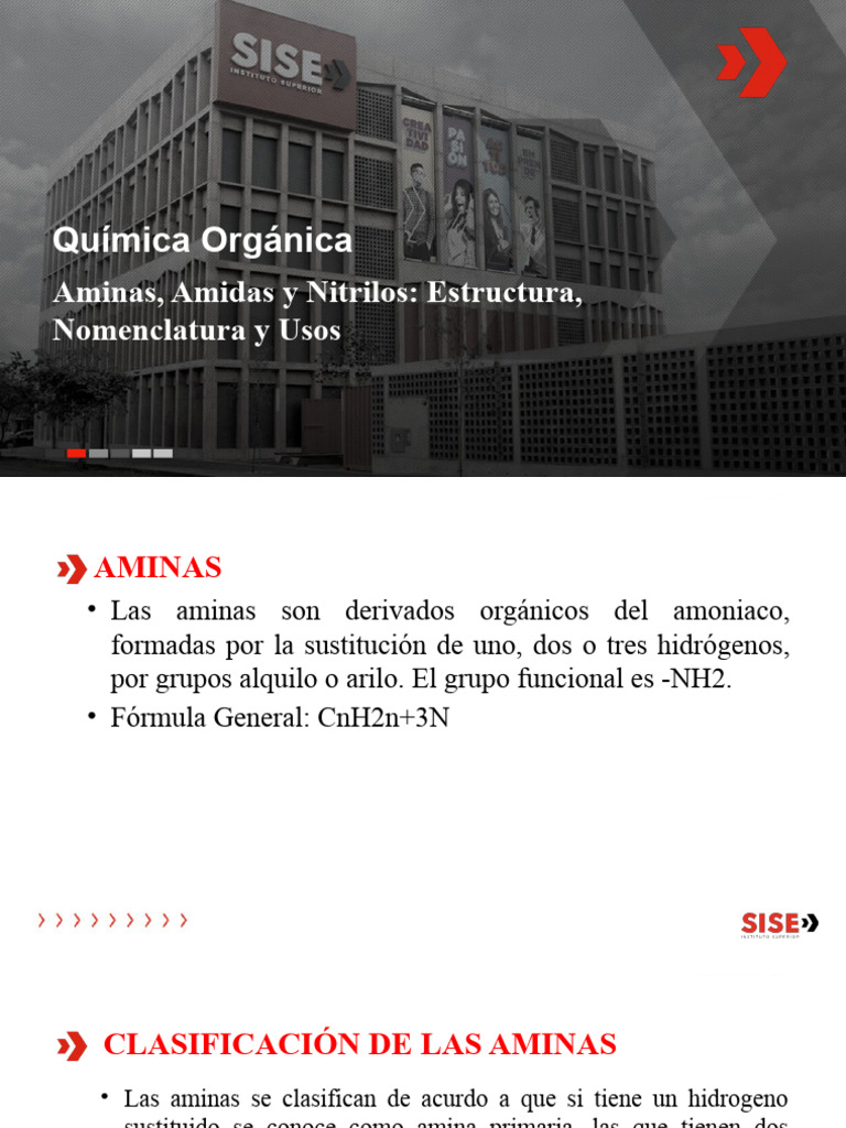 Presentación9 - Aminas, Amidas y Nitrilos | PDF | Amina | Amida