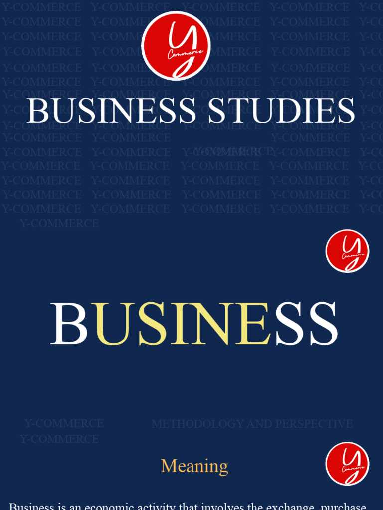 Plus One Business Studies | PDF | E Commerce | Business