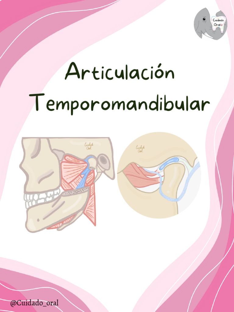 Anatomía y Biomecánica de la ATM | PDF | Articulación | Anatomía