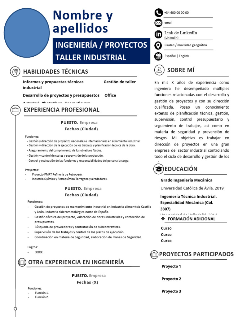 Template CV AÑOS DE EXPERIENCIA | PDF | Business | Presupuesto