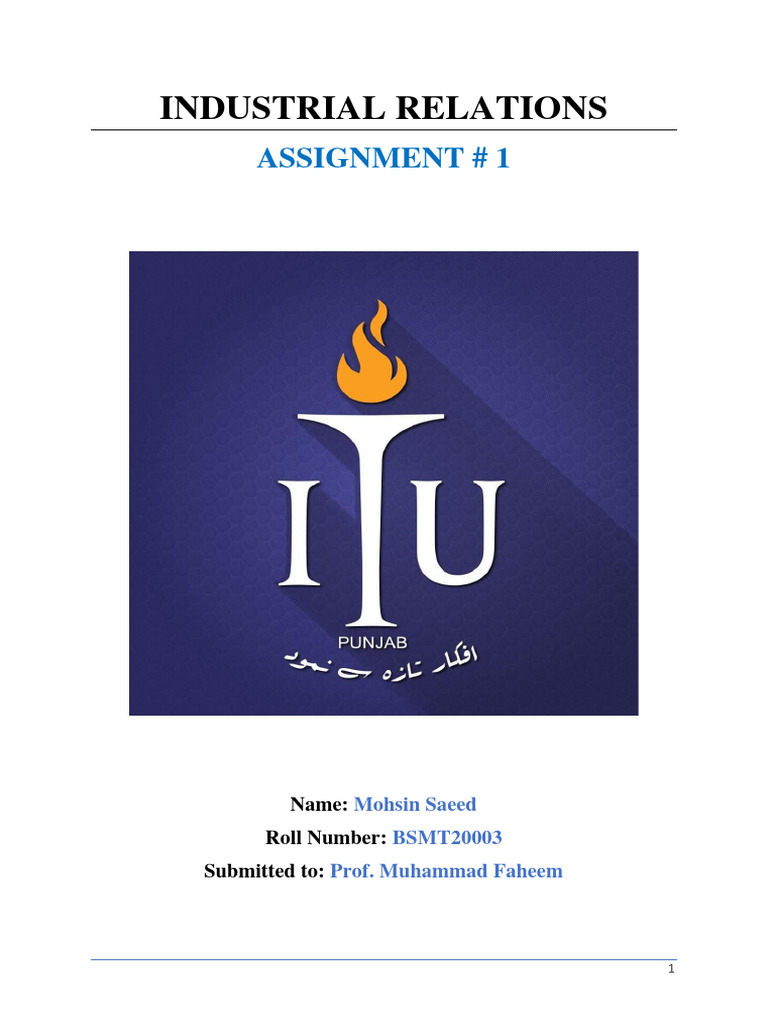 Mohsin Saeed - BSMT20003 - IR - Assignment#1 | PDF | Employment | Labor