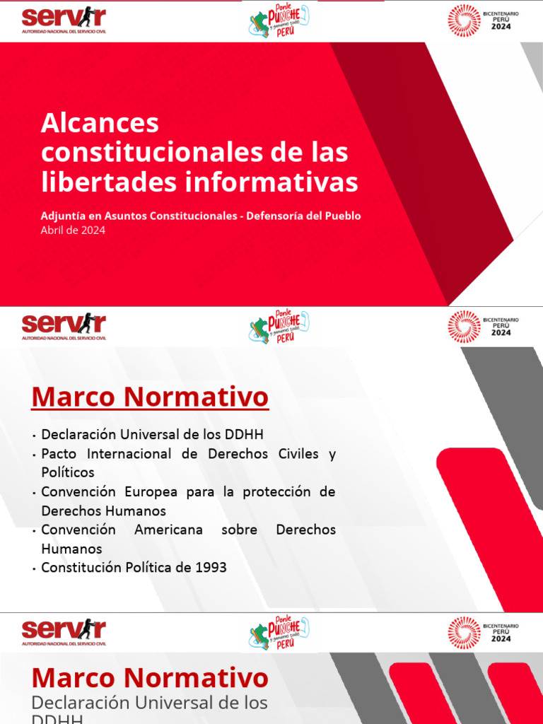 12-04 Alcances Constitucionales de Las Libertades Informativas | PDF ...