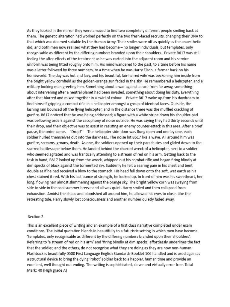 Sample Narrative | PDF