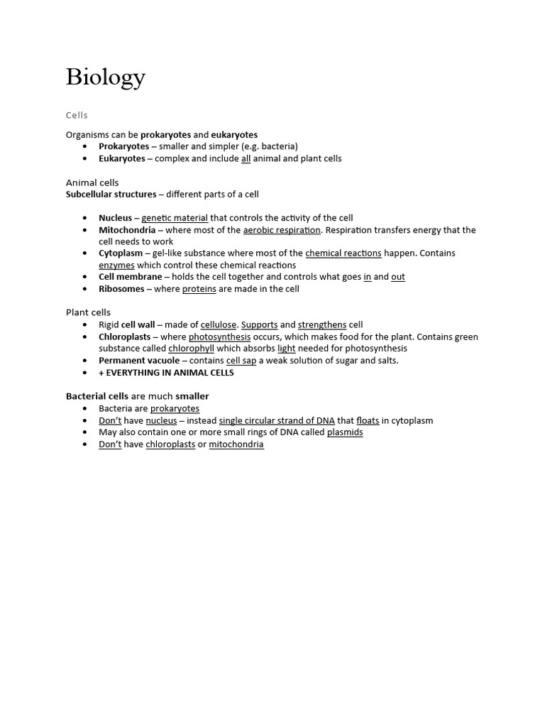 Biology | PDF | Heart | Atrium (Heart)
