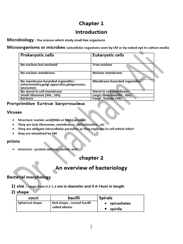 Chapter 1,2,3 Micro Paper | PDF | Cellular Respiration | Bacteria
