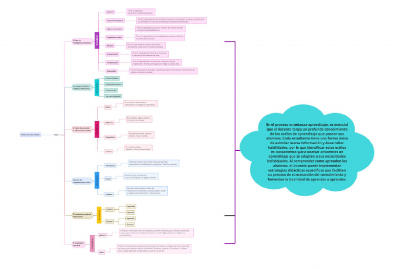 Mapa Conceptual DIEP | PDF