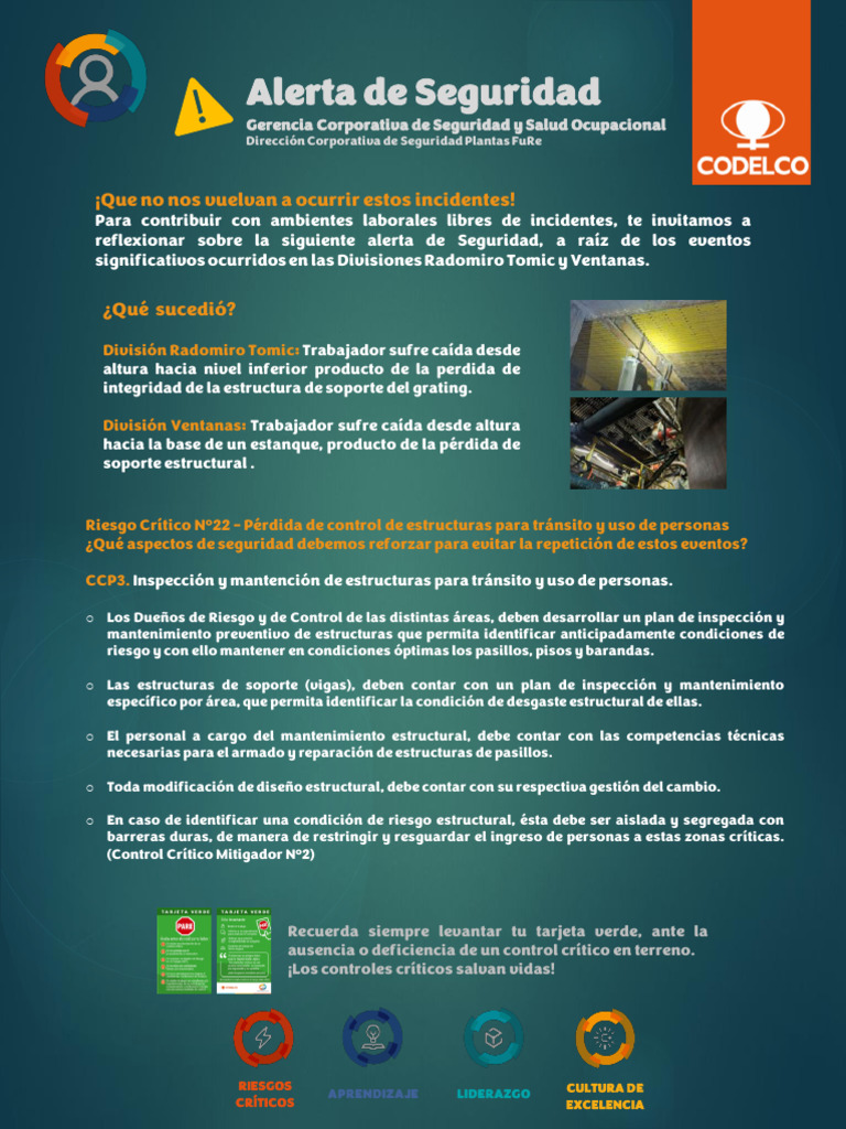 Alerta Seguridad - RC N°22 | PDF