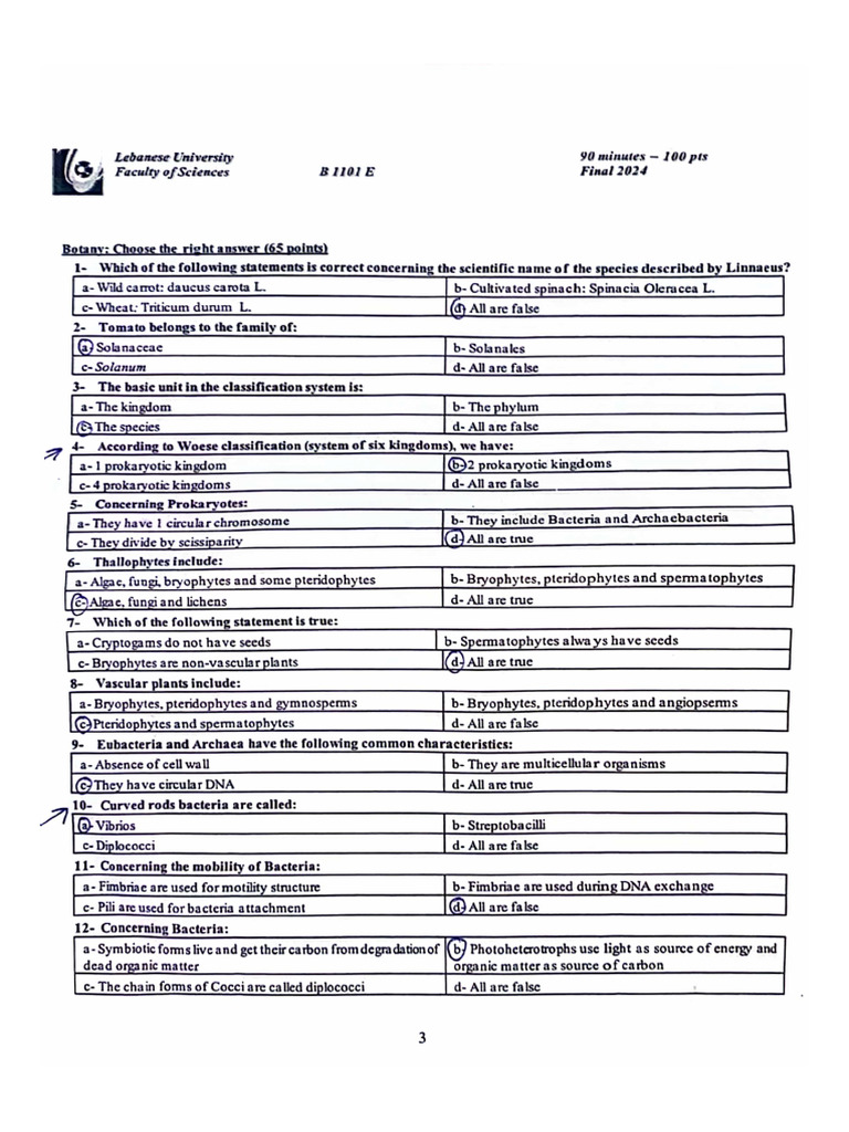 B1101 - English (FS1) - Final 2024 | PDF