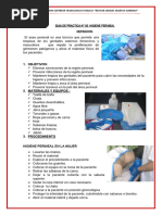 Guía de Aseo Perineal Femenino | PDF | Higiene | Lavado de manos
