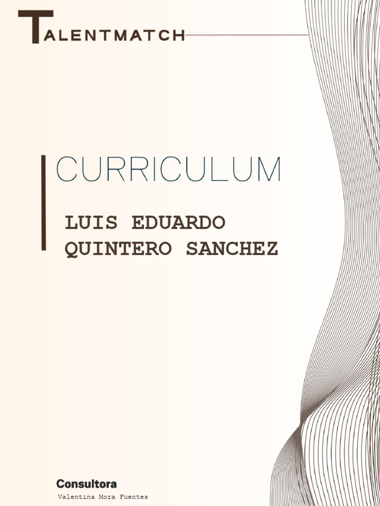 CV Luis Quintero - 2024 | PDF | Business | Economias