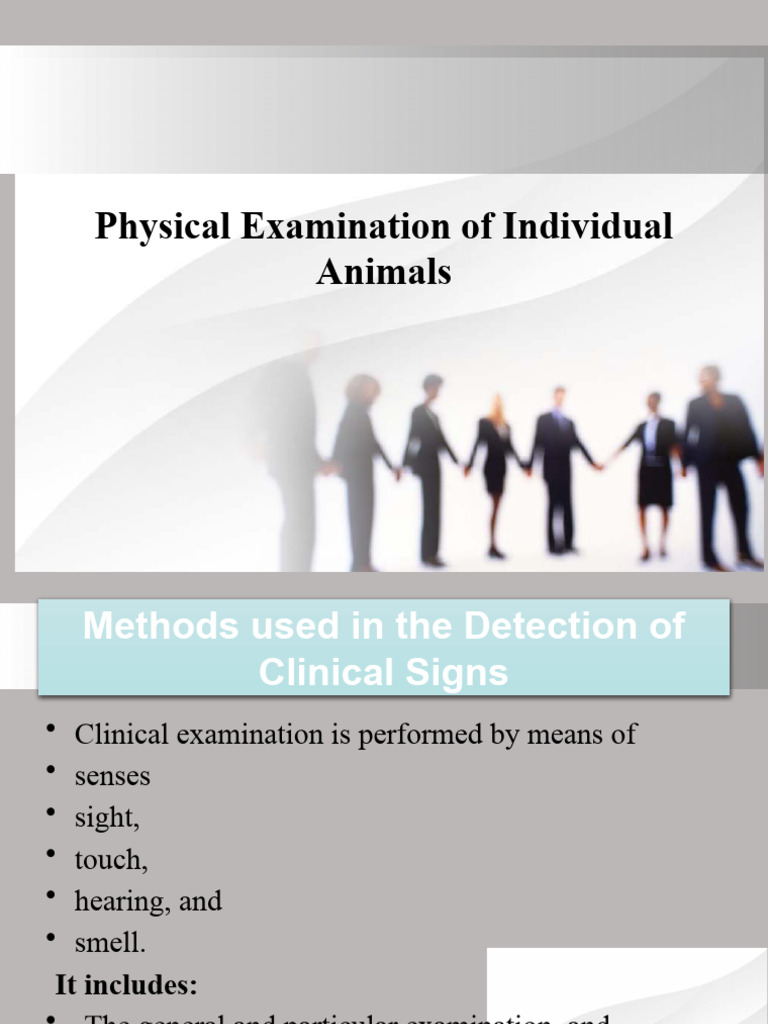 Clinical Physical Examination | PDF | Clinical Medicine | Medical ...