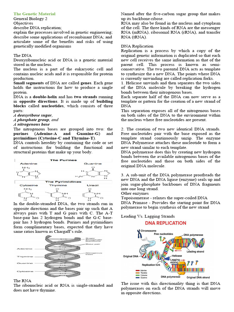 Molecular Biology | PDF | Dna | Messenger Rna