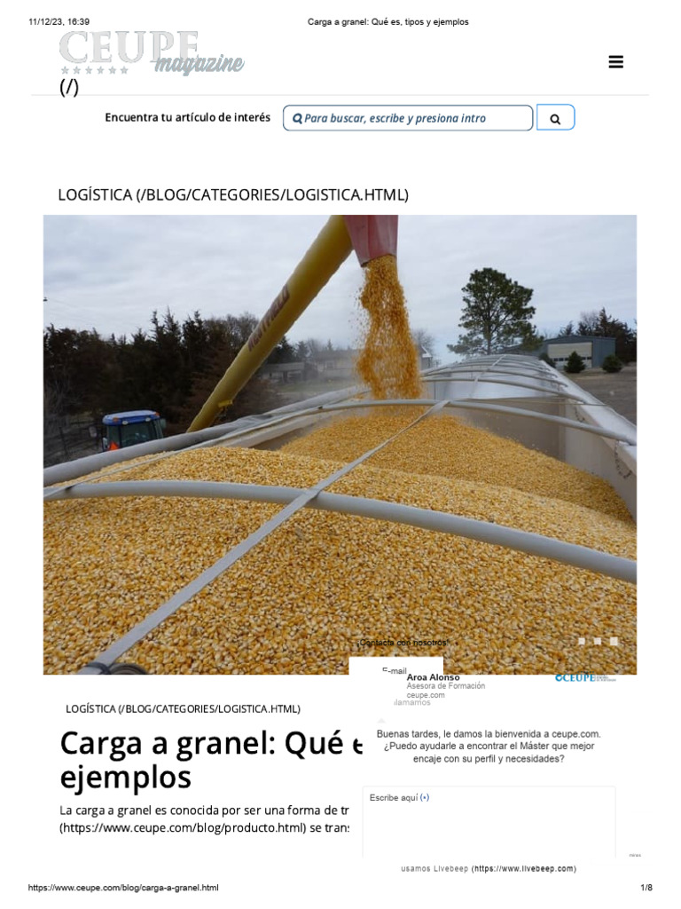 Carga A Granel - Qué Es, Tipos y Ejemplos | PDF