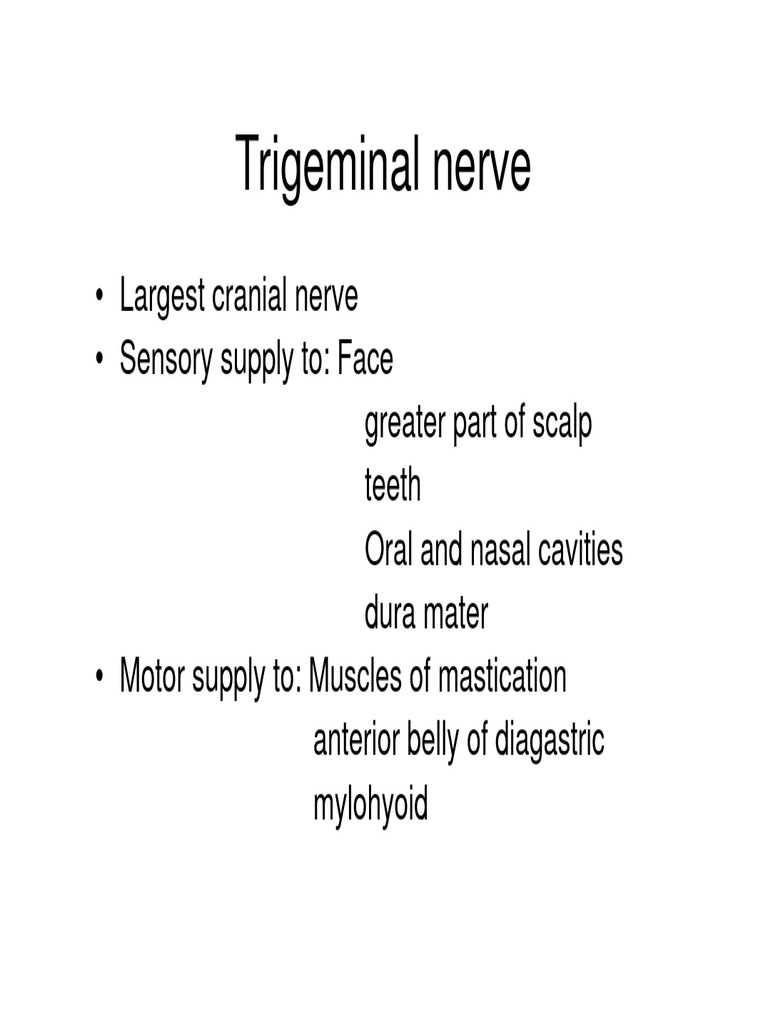 Head&Neck Trigeminal N | PDF | Nervous System | Neuroanatomy