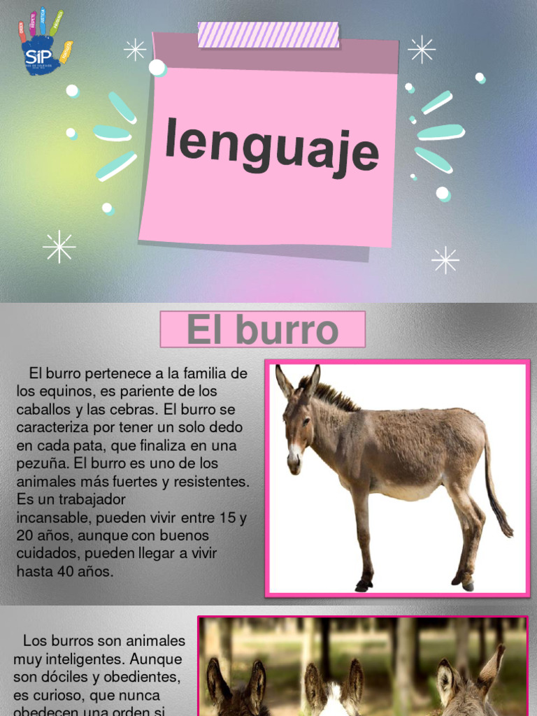 Burro Parte 1 | PDF | Artes del Lenguaje y Comunicación | Estudios de ...