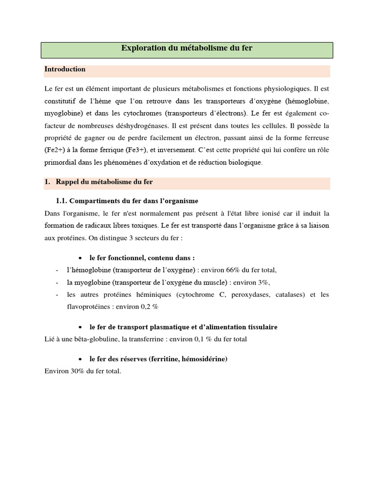 Métabolisme du Fer : Exploration et Rôle | PDF