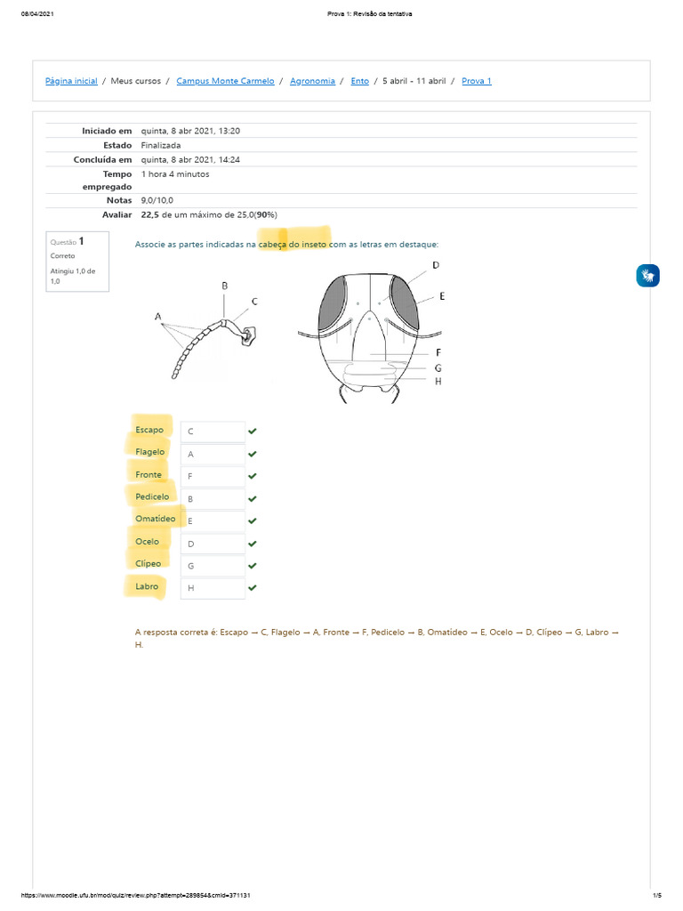 Prova 1 Ento | PDF | Insetos | Artrópodes