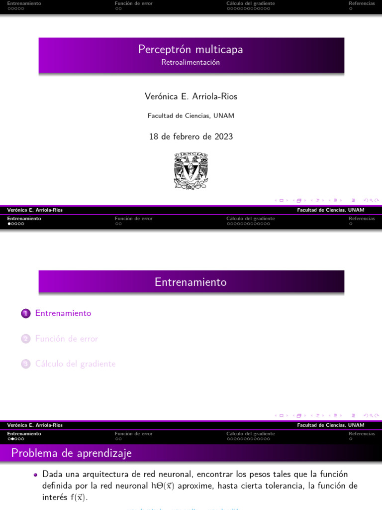 3_2 Entrenamiento_ | PDF | Optimización Matemática | Red neuronal ...