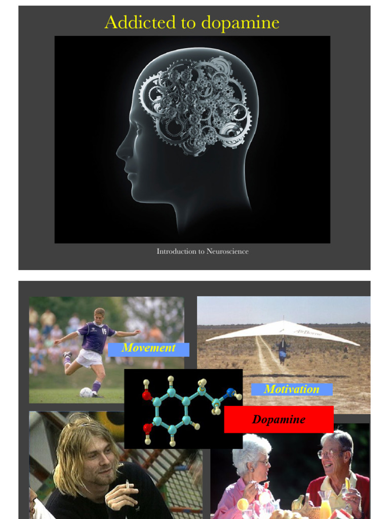 Understanding Dopamine and Addiction | PDF | Reward System | Dopamine