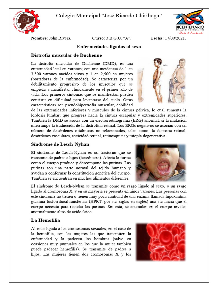 John Rivera 3a Biologia Tarea de Emfermedades Ligadas Al Sexo | PDF ...
