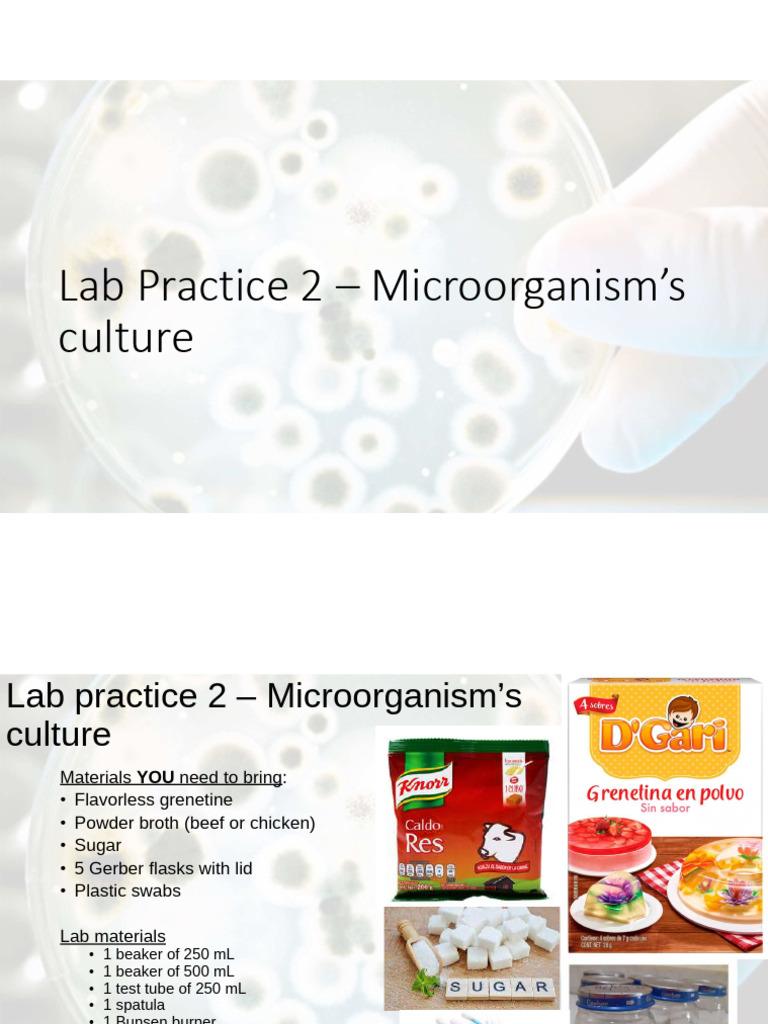 Lab Practice 2 - Microorganisms Culture | PDF