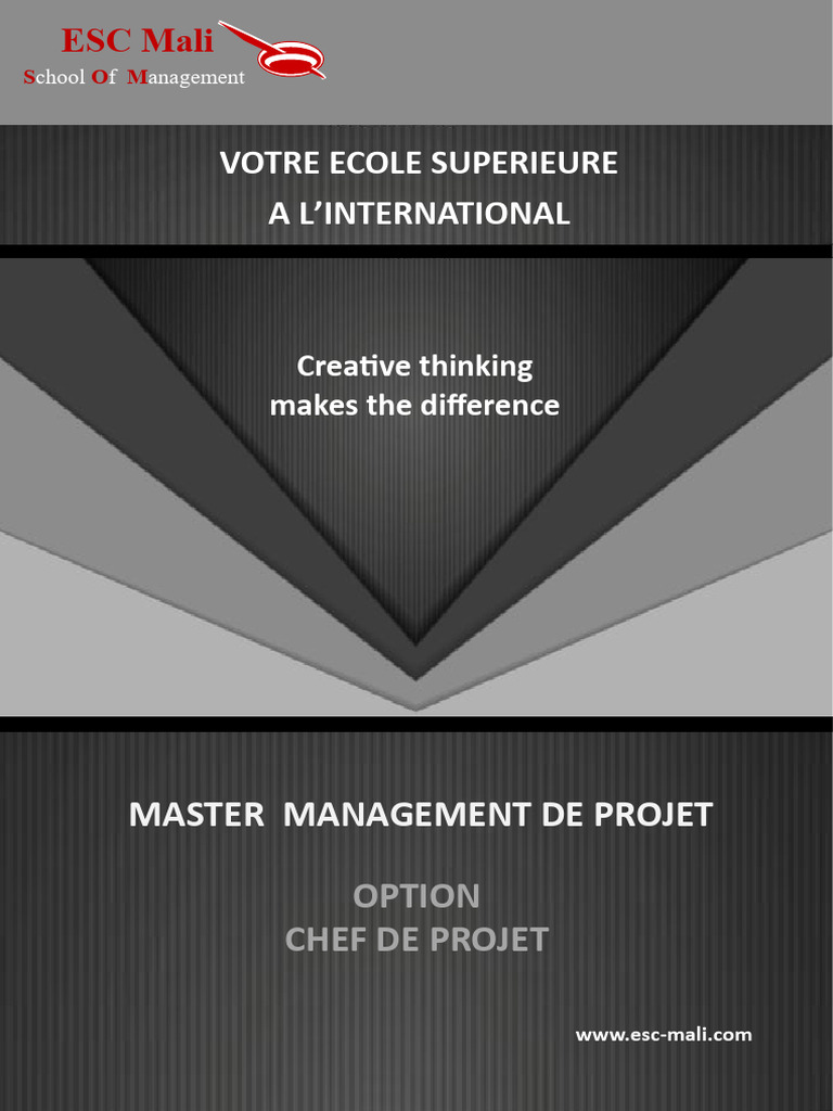Master en Management de Projet à ESC Mali | PDF | Gestion de projet ...