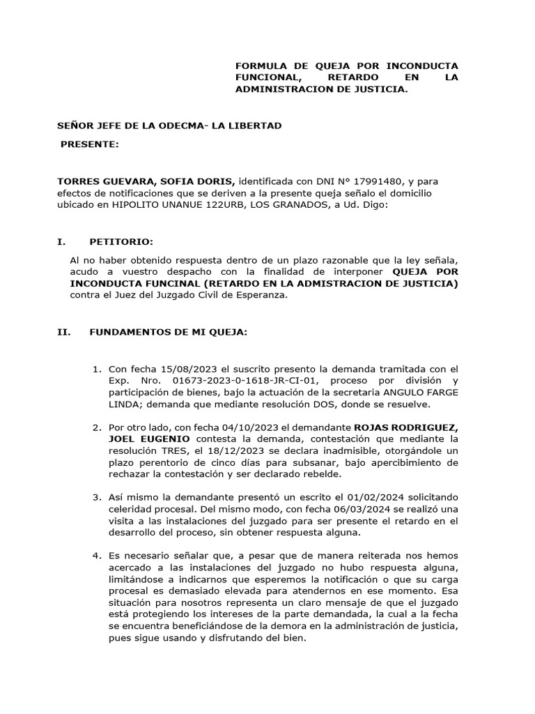 Formula de Queja Por Inconducta Funcional | PDF | Demanda judicial | Justicia